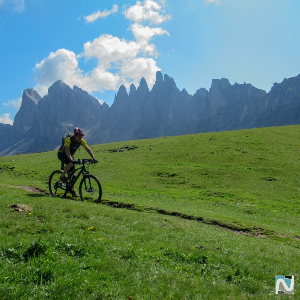 Esplora Itinerari & Percorsi in gravel e MTB | nest.bike